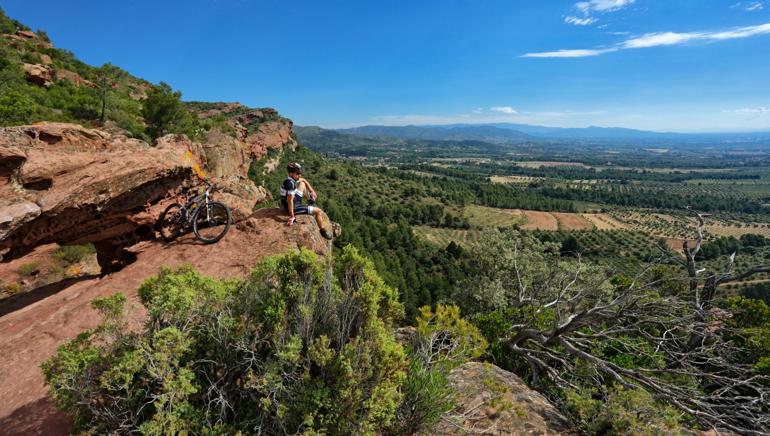 Comarca - Consell Comarcal del Baix Camp